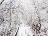 Winter Meditation Script: Finding Peace in Storms | Lighten the Dark
